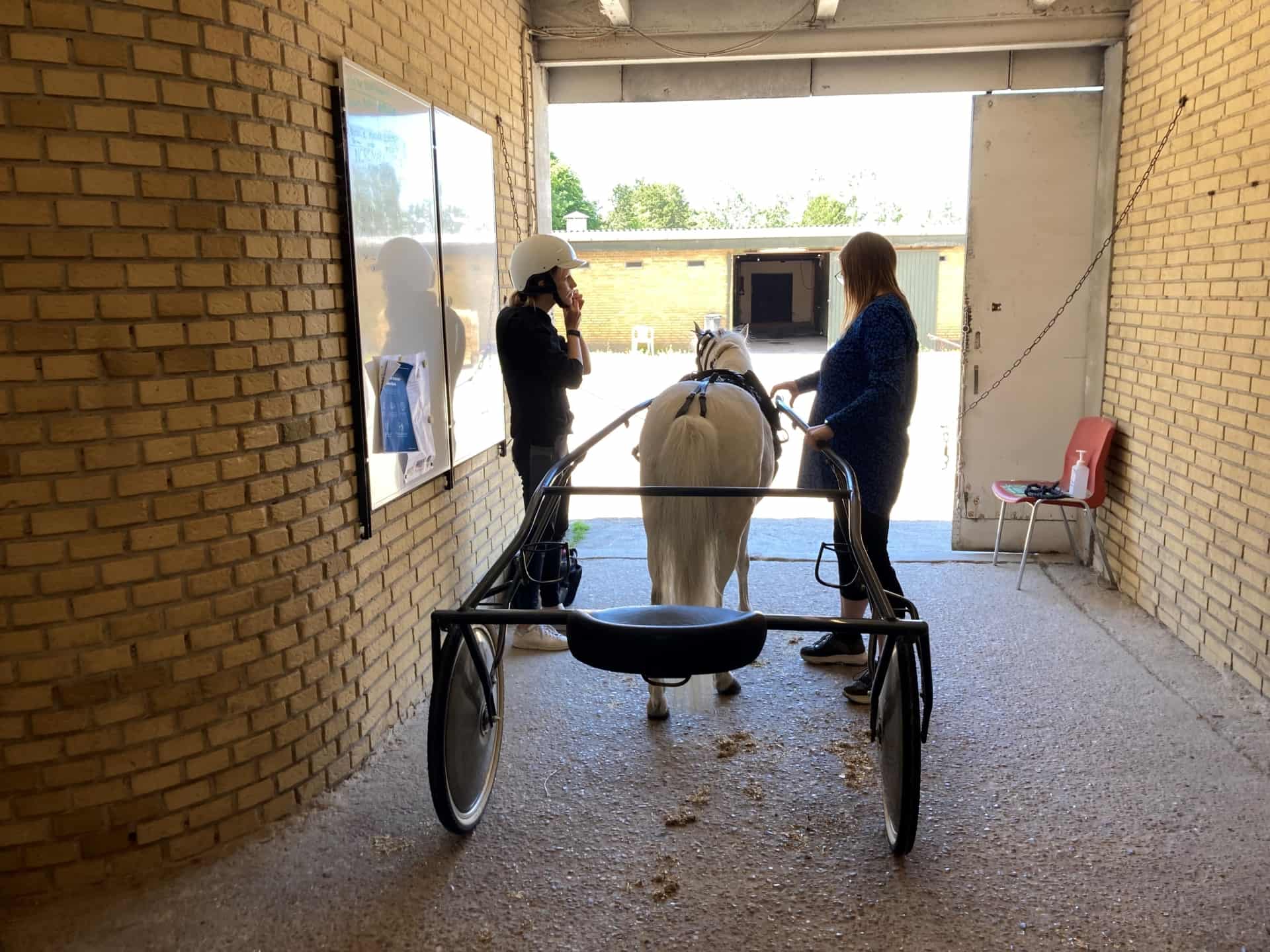 Lukning af travbane får familie til at flytte vestpå: - Vi er triste ...