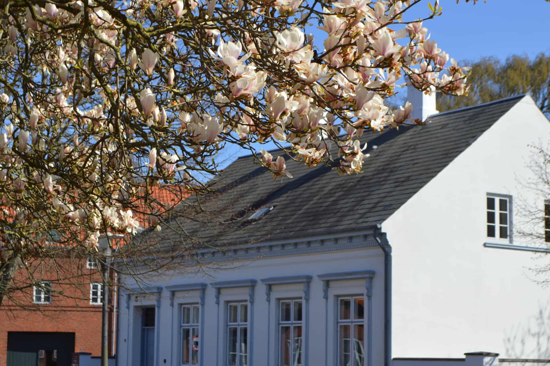 Forår i Varde midtby | ugeavisen.dk