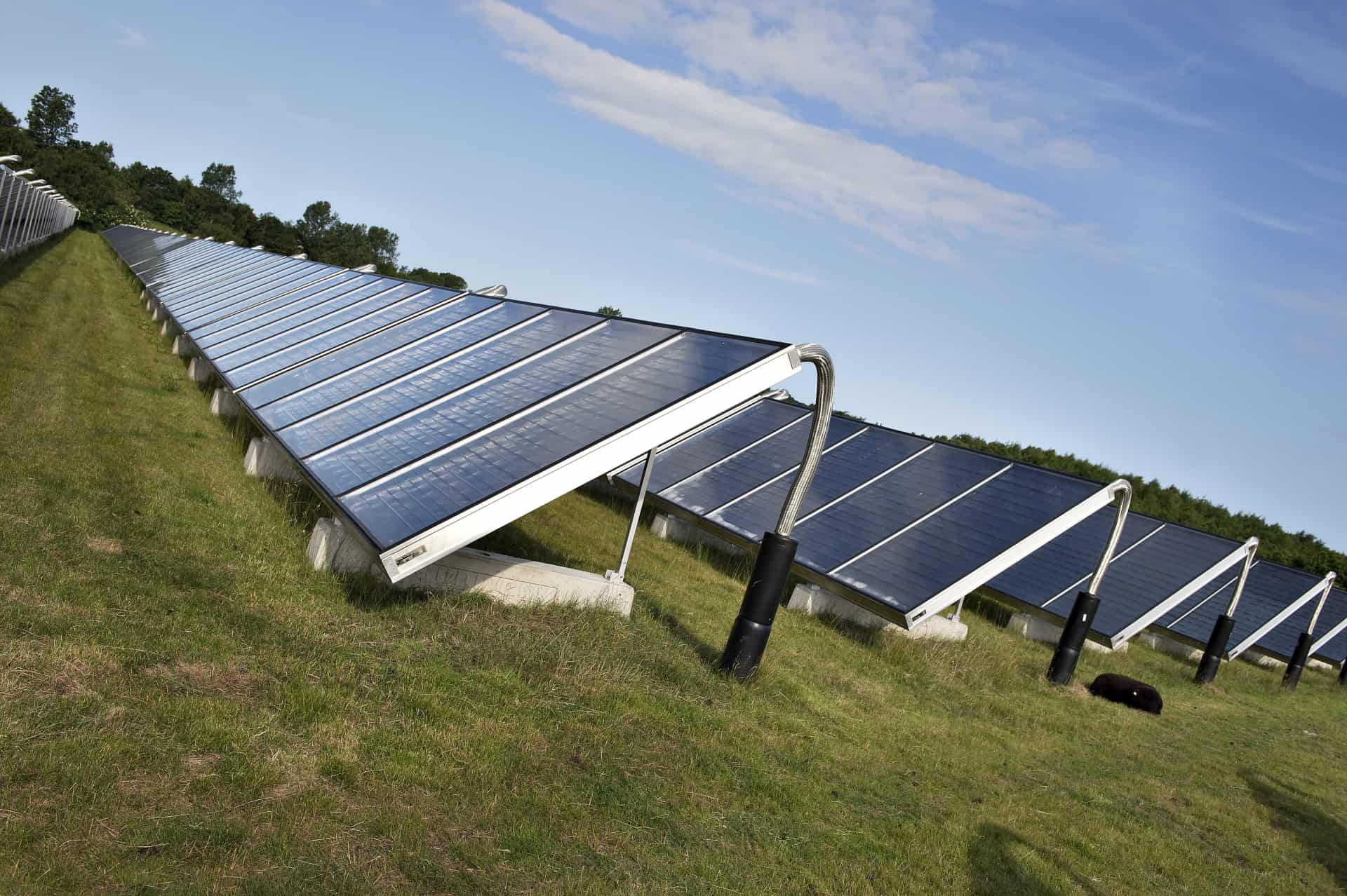 Kæmpe solcellepark skal dække halvdelen af boligejernes strømforbrug ...