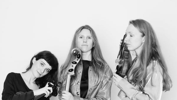 Koncert med Vesselil | ugeavisen.dk