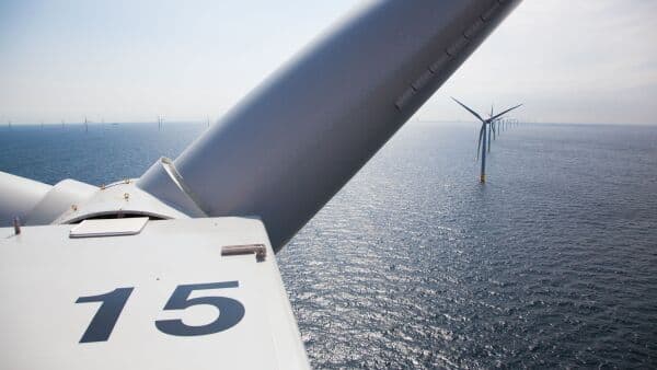 Horns Rev 3: Alle fundamenter er nu på plads - VIDEO | ugeavisen.dk