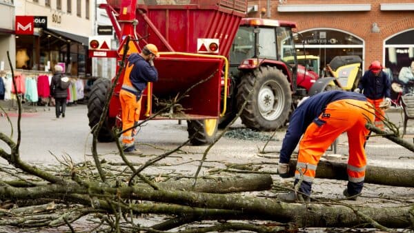 Træerne kommer ikke tilbage på Store Torv | dagbladet-holstebro-struer.dk