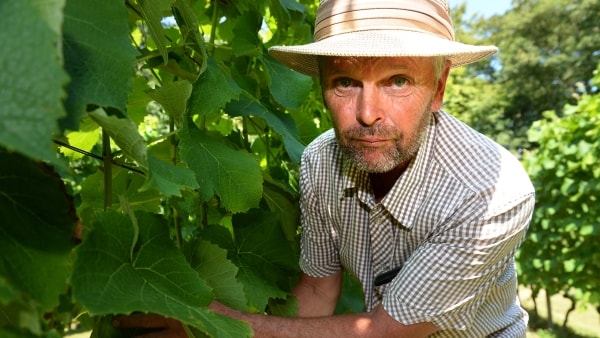 Karl Johan smiler, når vi andre sveder: 2022 tegner nemlig til at blive ...