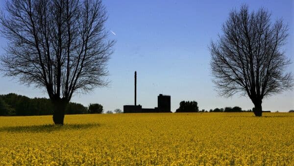 Der er penge i de gule marker | fyens.dk