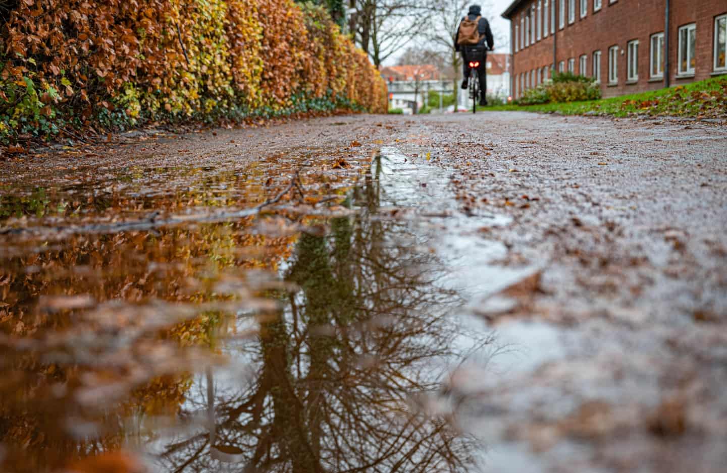 Blade er glatte som brun sæbe: Nu vælter klagerne igen ind fra ...