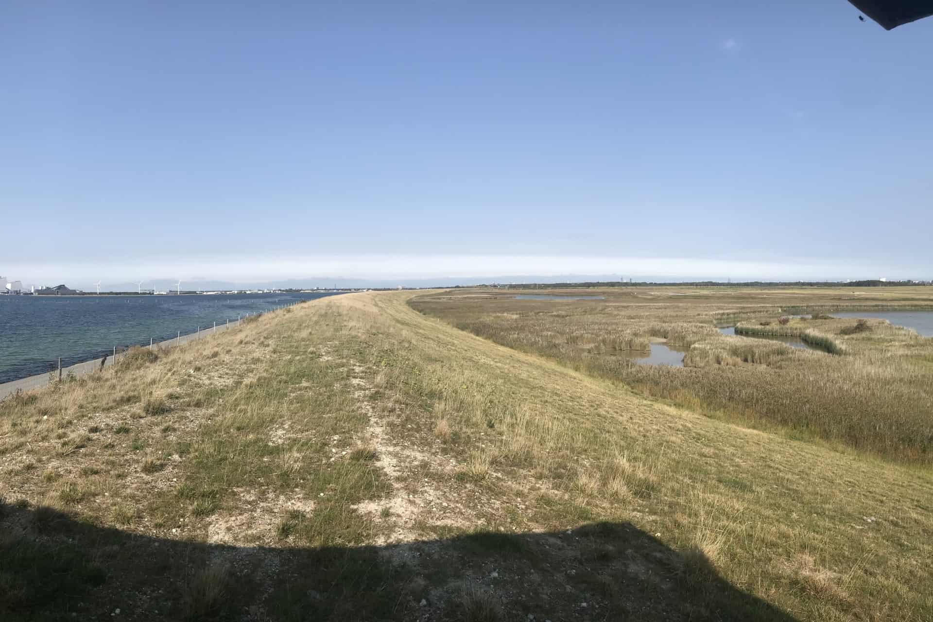 Amager rundt: Få usædvanlige naturoplevelser på en enkelt dag ...