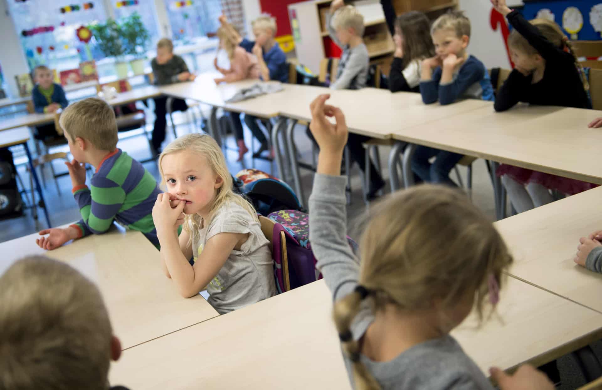 Skolestart: Hvor mange elever bliver de i dit barns klasse? | ugeavisen.dk