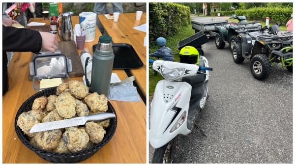 Arbejdsdag i Sallinge | ugeavisen.dk