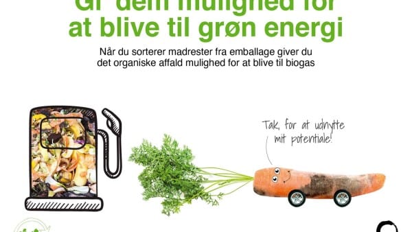 Befri de rådne gulerødder | vafo.dk