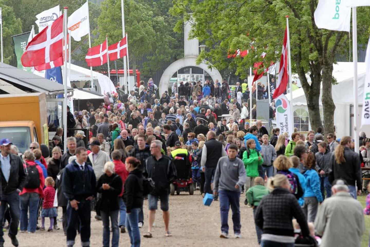 Fællesdyrskuet fortsætter i dag - fantastisk rykind af hele 11.000 ...