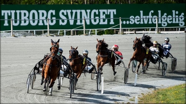 Se topunderholdning fra Fyens Væddeløbsbane på lørdag på JFM Play på ...