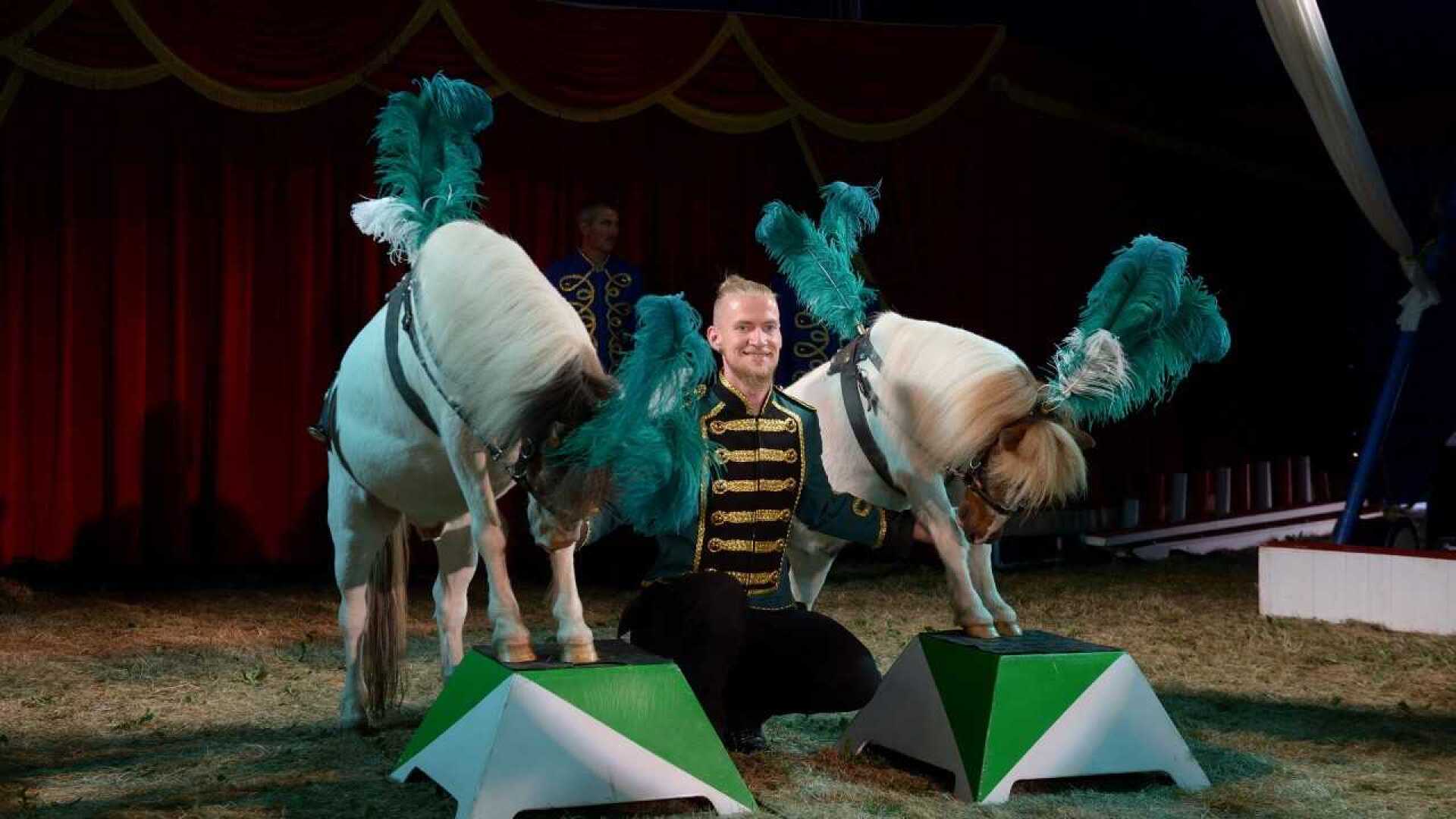 Cirkus Mascot går amok | ugeavisen.dk