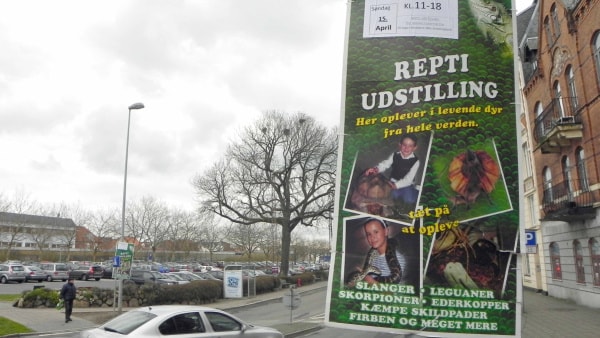 Kryb udstilles i idrætscentret | jv.dk