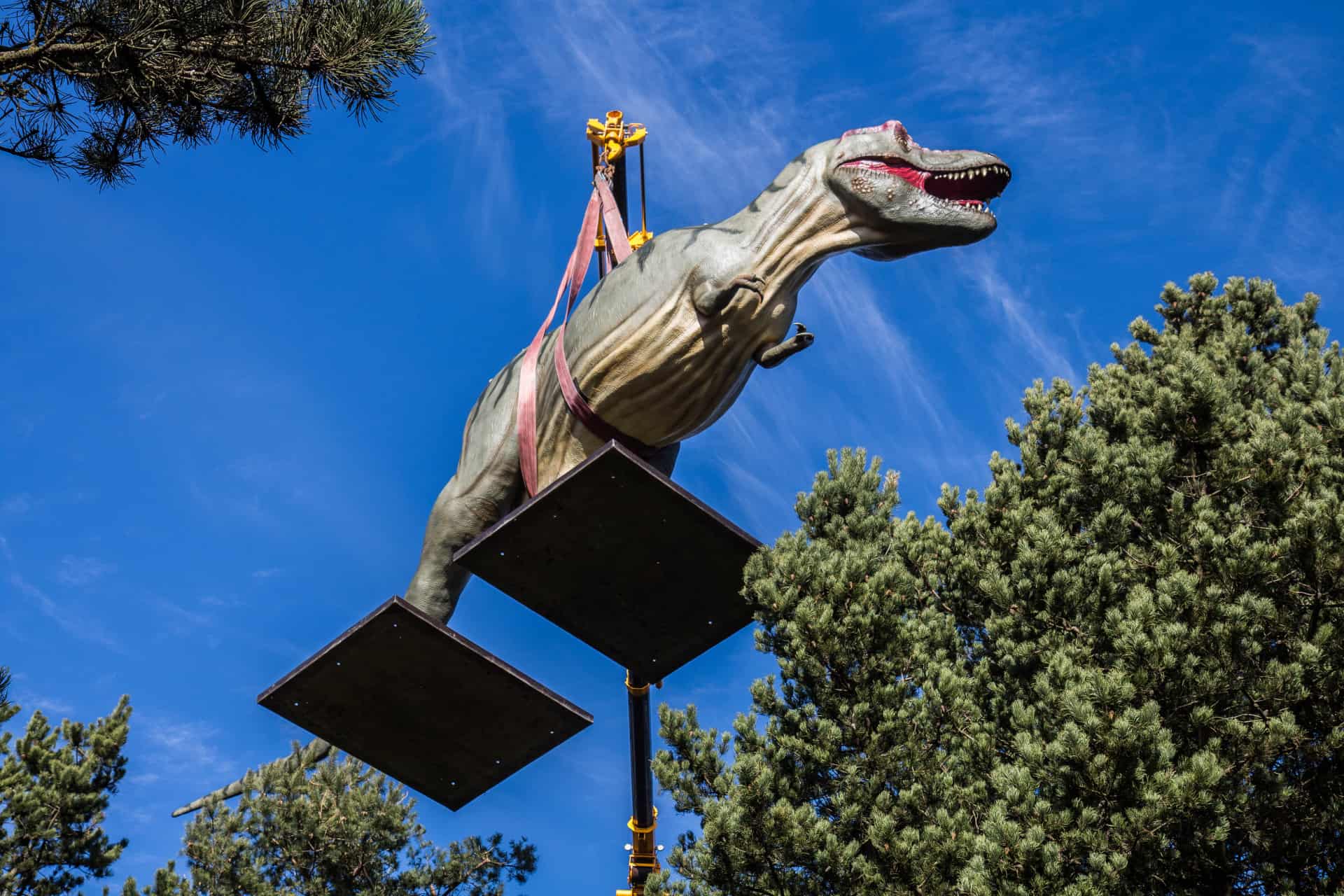 Et år der bare bliver bedre og bedre: Givskud Zoo er igen Årets ...