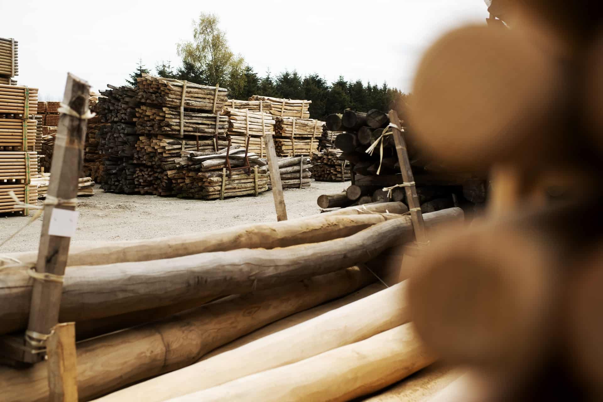 Stort savværk kåret til årets vækstvirksomhed | jv.dk