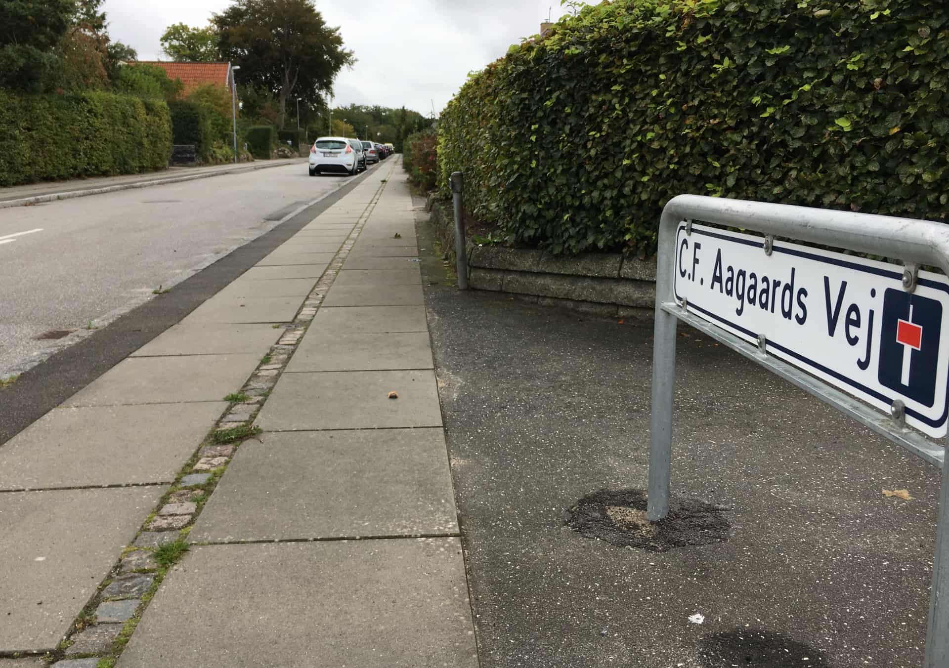 Kommunen vil overlade ansvaret for en række veje til borgerne, men ...