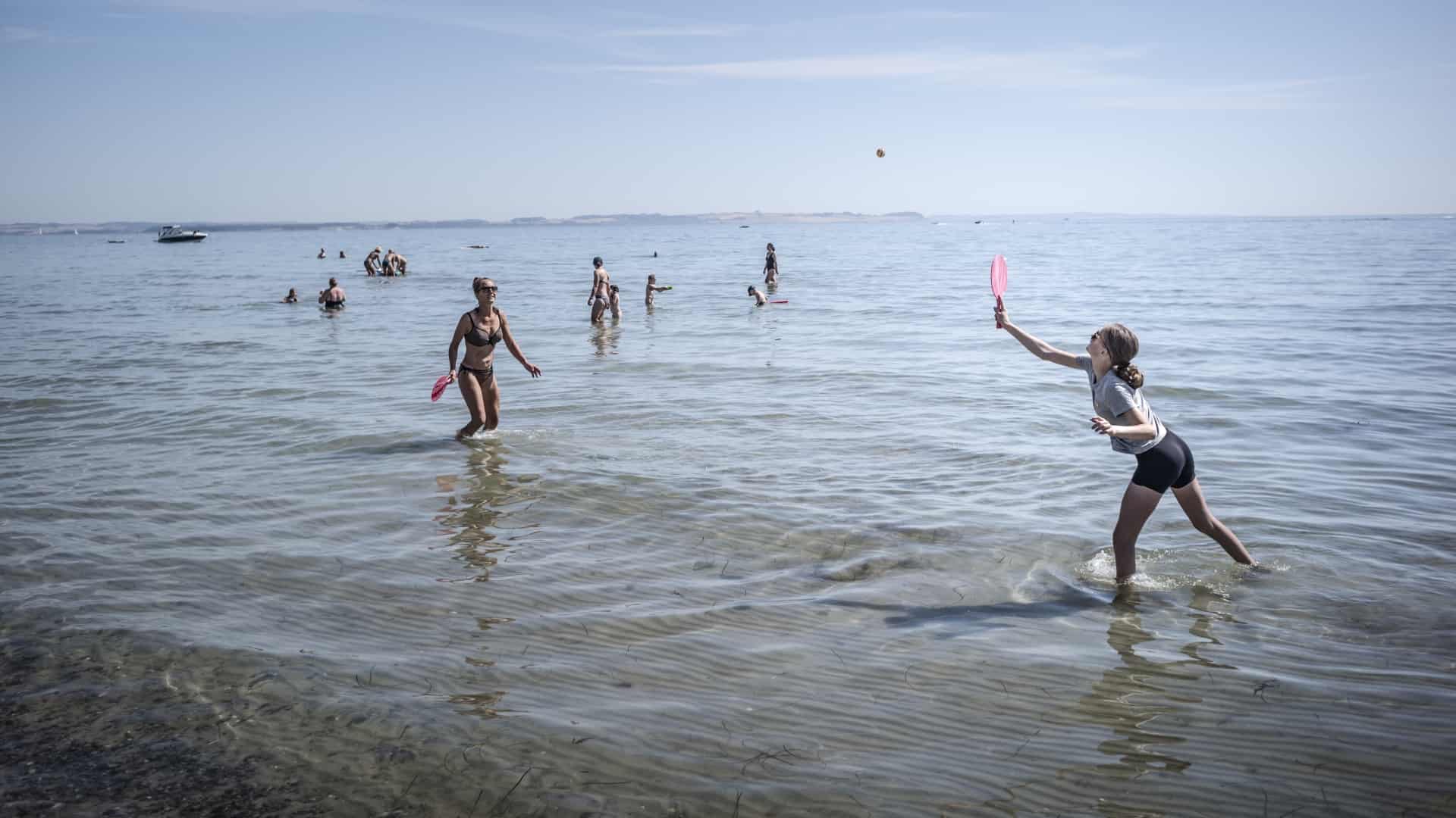 Giftig fisk invaderer strande: Sådan undgår du et smertefuldt stik | jv.dk