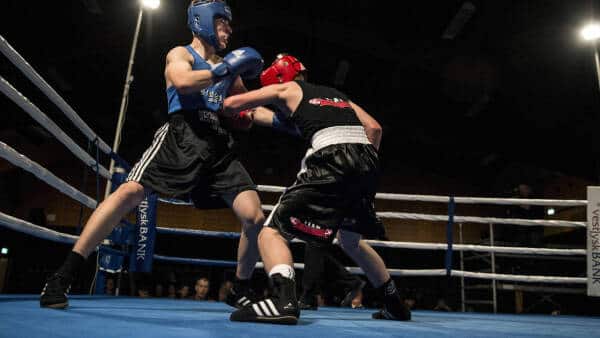 Guld og sølv til boksere | ugeavisen.dk