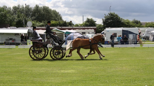Lars Dau blev dansk mester for sjette gang i træk | jv.dk