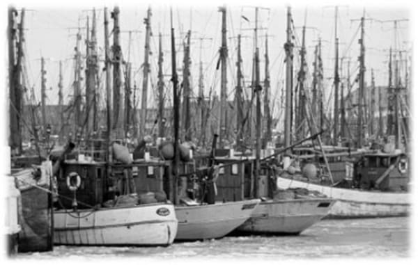 4 december: Fiskekuttere i havn, 1963 | ugeavisen.dk