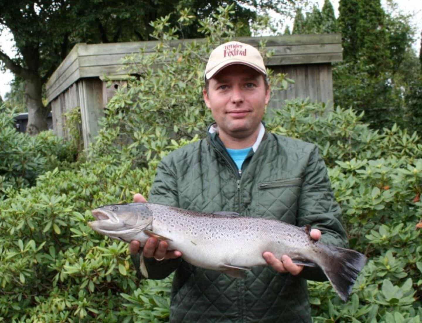 Så hugger havørrederne ved Tønder | ugeavisen.dk