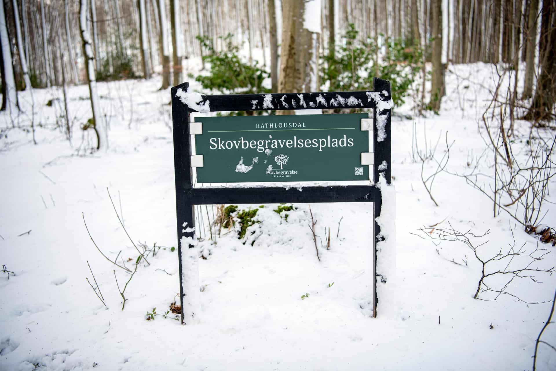 Uforpligtende evighed: Vibeke skal begraves i skoven med sin mand og ...