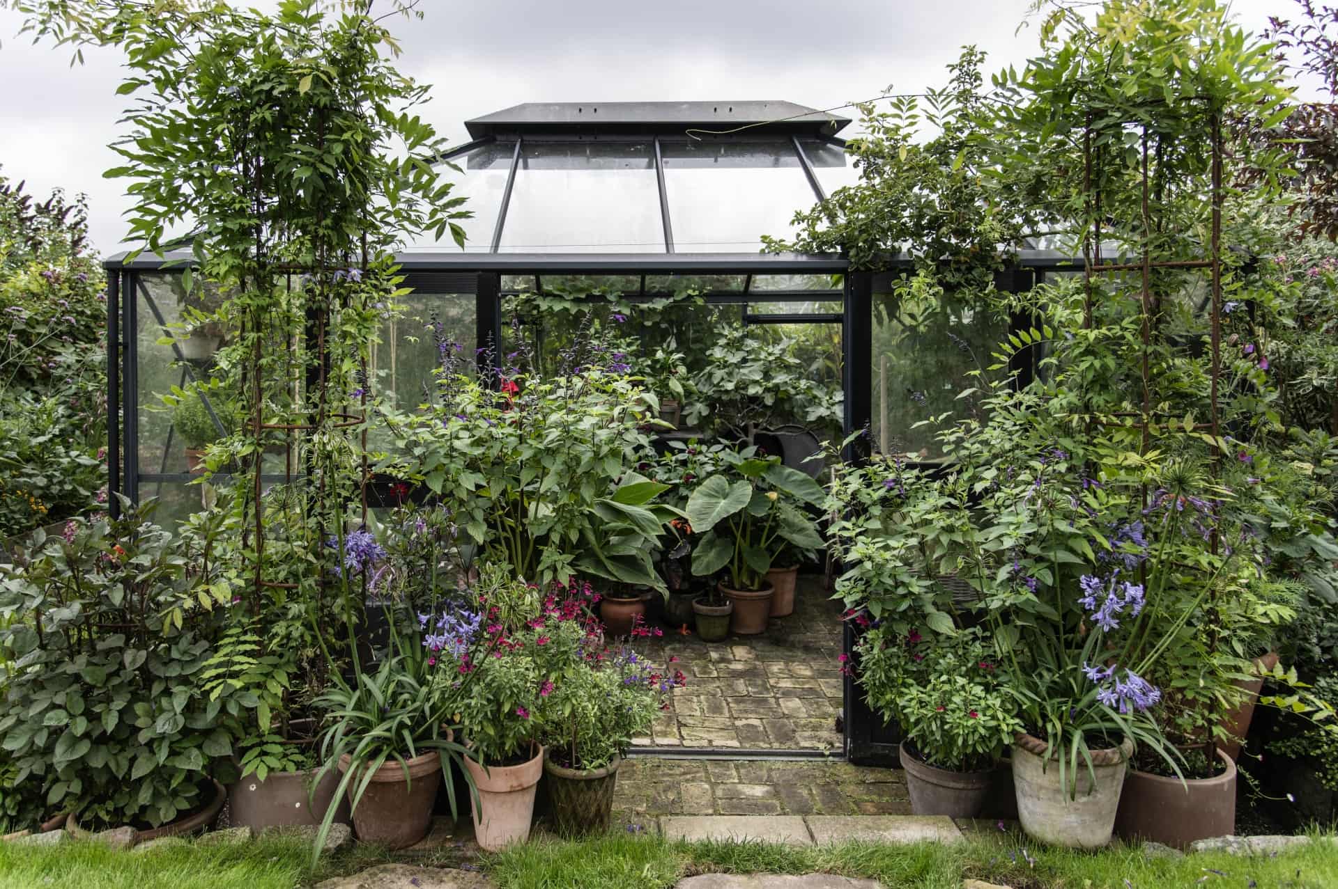 Havenørd Mathias Emil: Det startede med et drivhus og 100 krukker, da ...