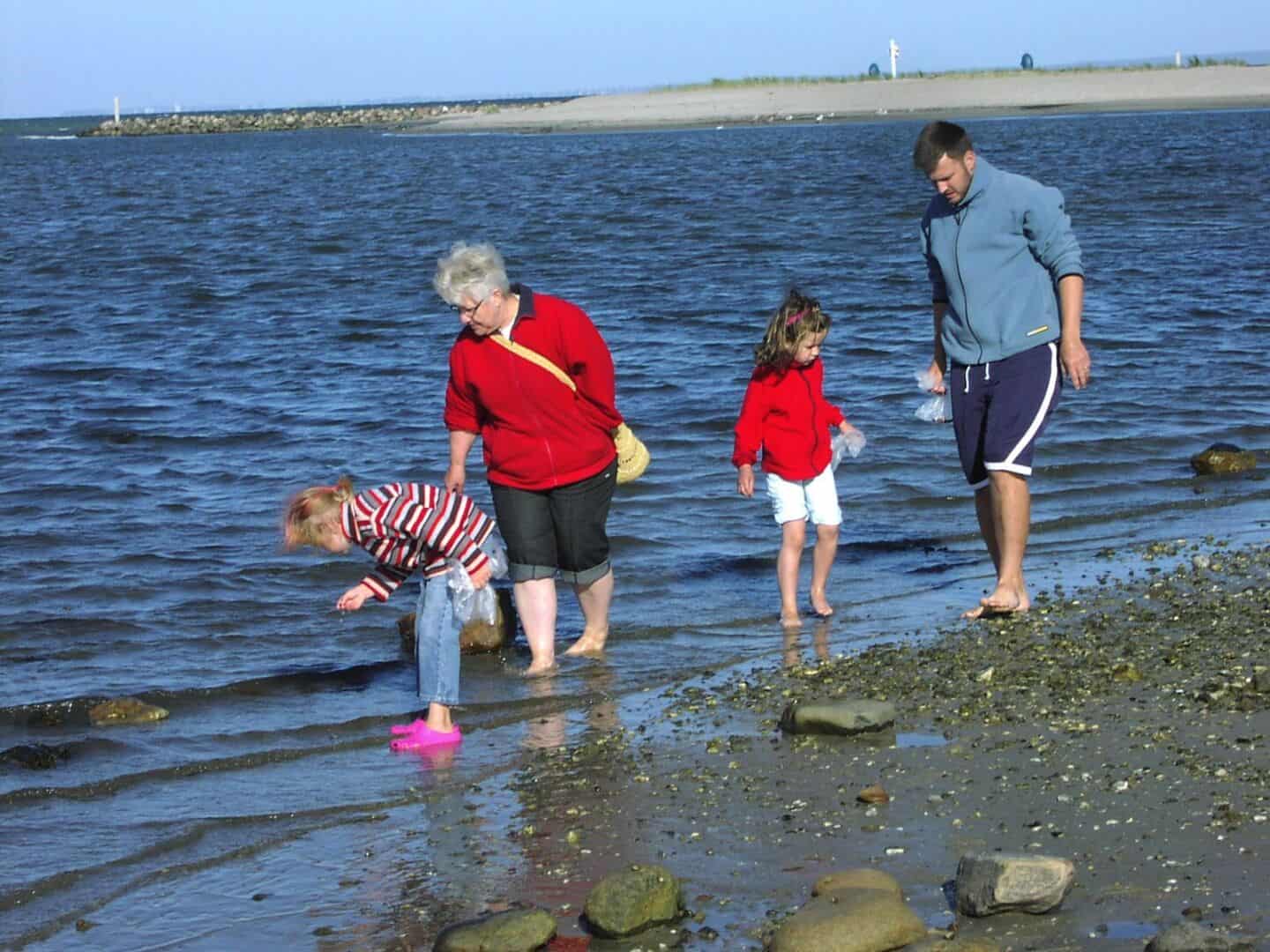 Rav på Bogense Strand | fyens.dk