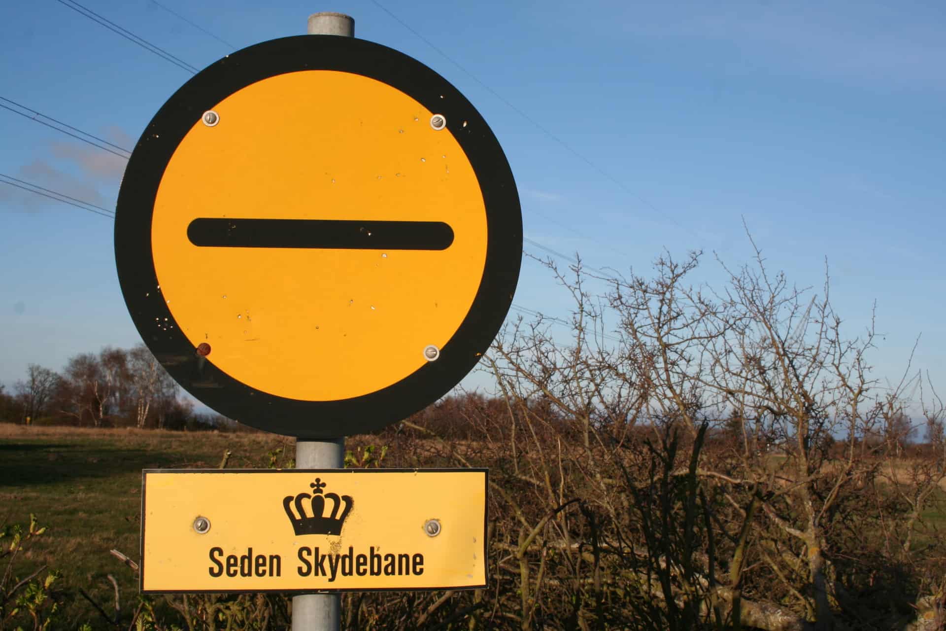 Historiens vingseus: Massegravene ved Seden Skydebane | ugeavisen.dk