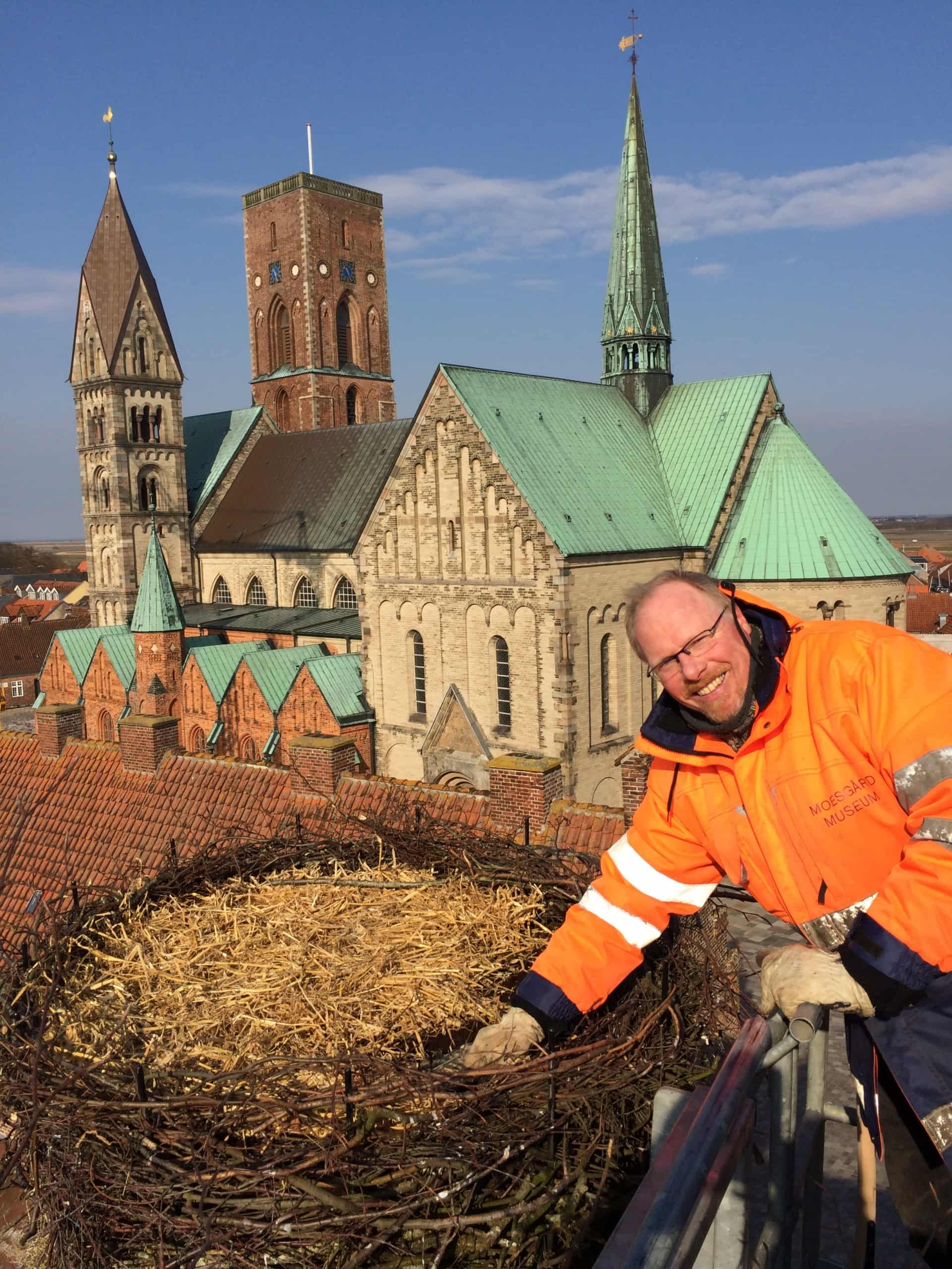 Hans Skov gør Ribes storkereder klar for 40. gang | ugeavisen.dk