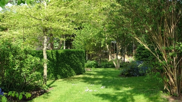 Private haver åbner op til havefestival | ugeavisen.dk