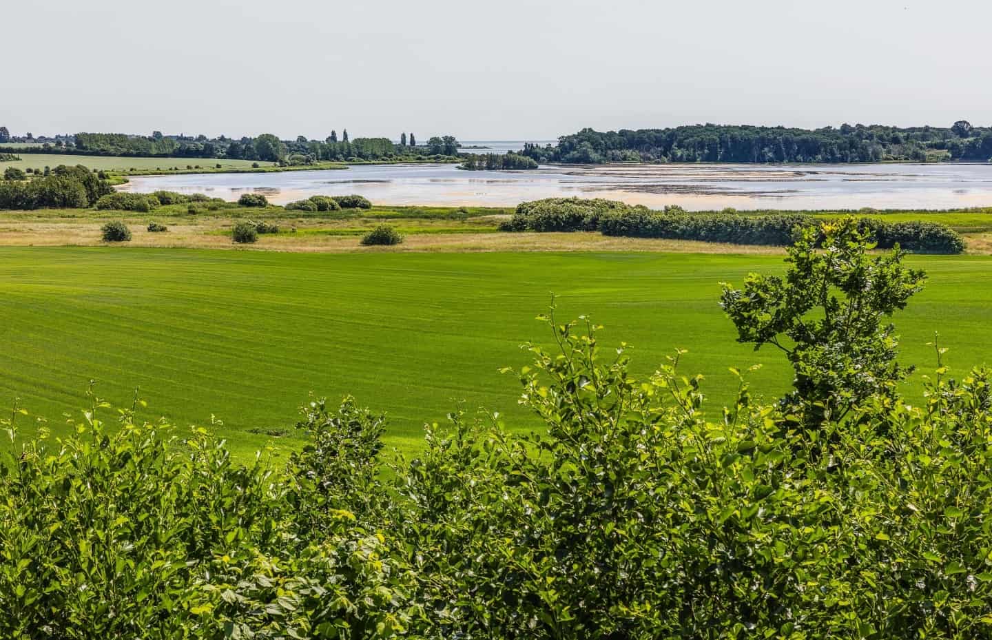 Skal du være den nye ejer af godsets jord? Nu er 213 hektar jord sat ...
