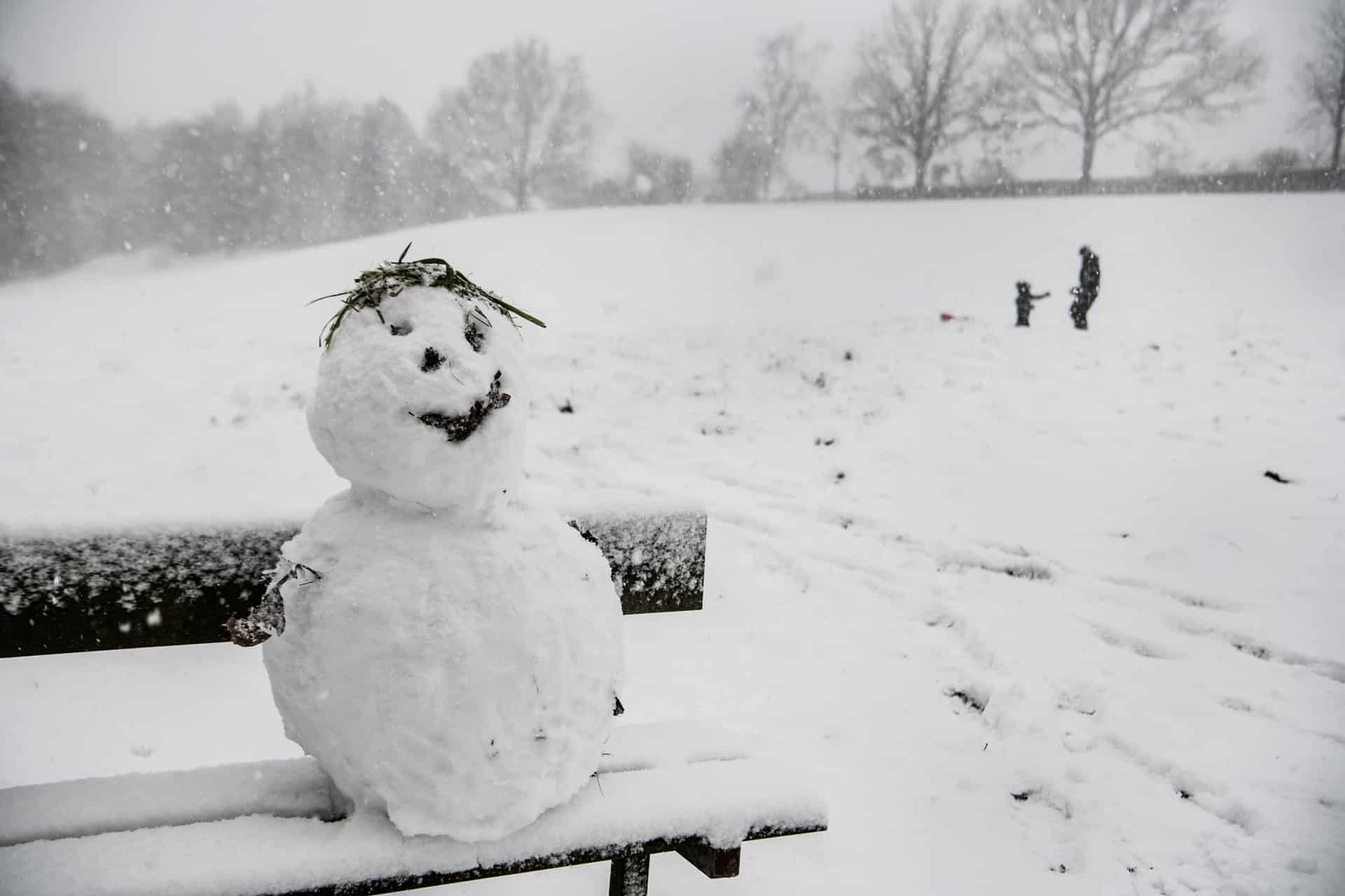 Digt: Den første sne er forunderlig hvid | ugeavisen.dk