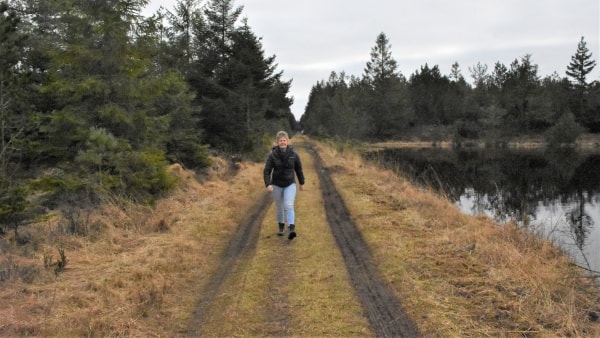 De vilde plantager med de mystiske søer er også noget for Hærvejs ...