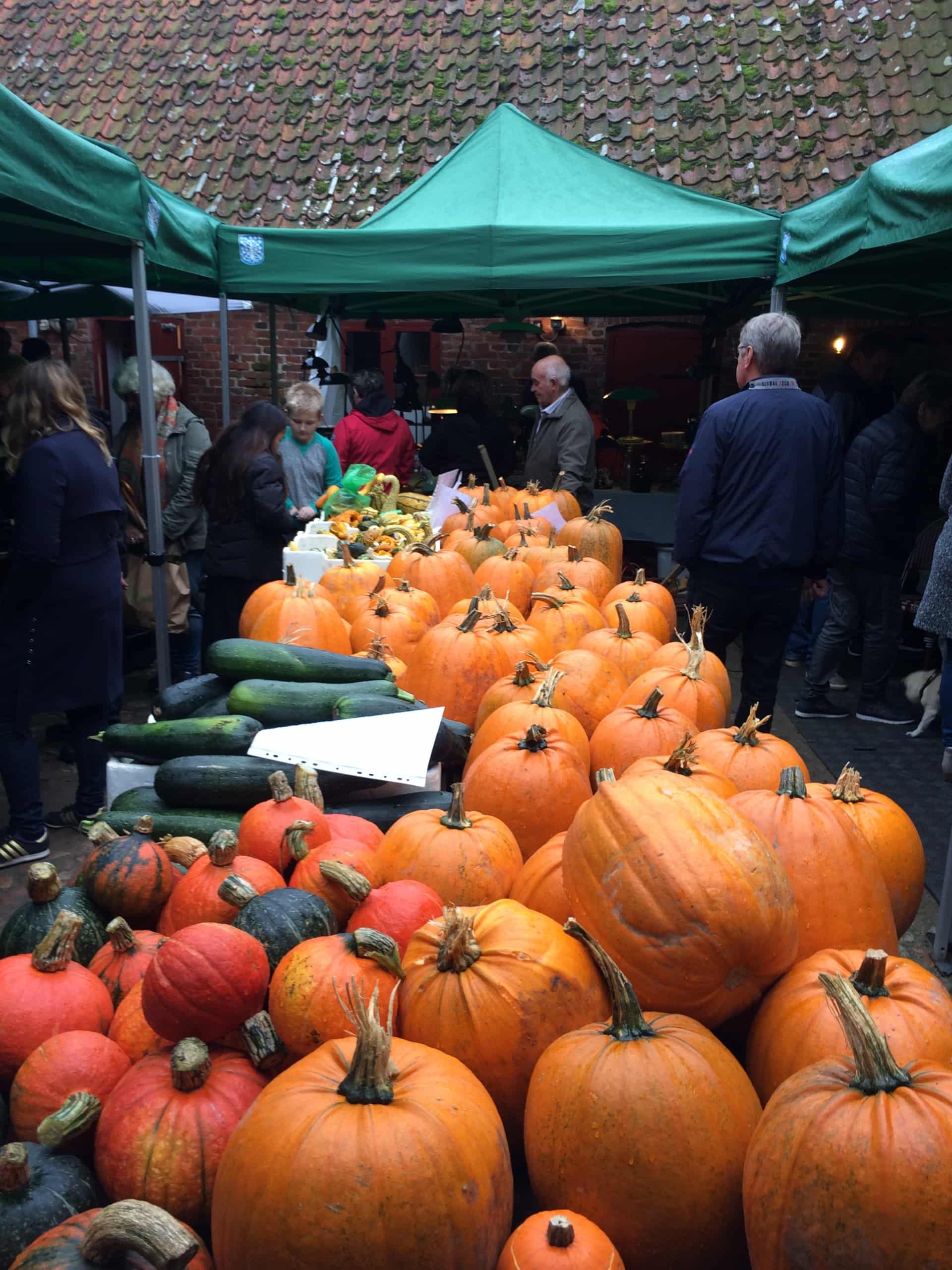 Ribe bliver en stor markedsplads | ugeavisen.dk