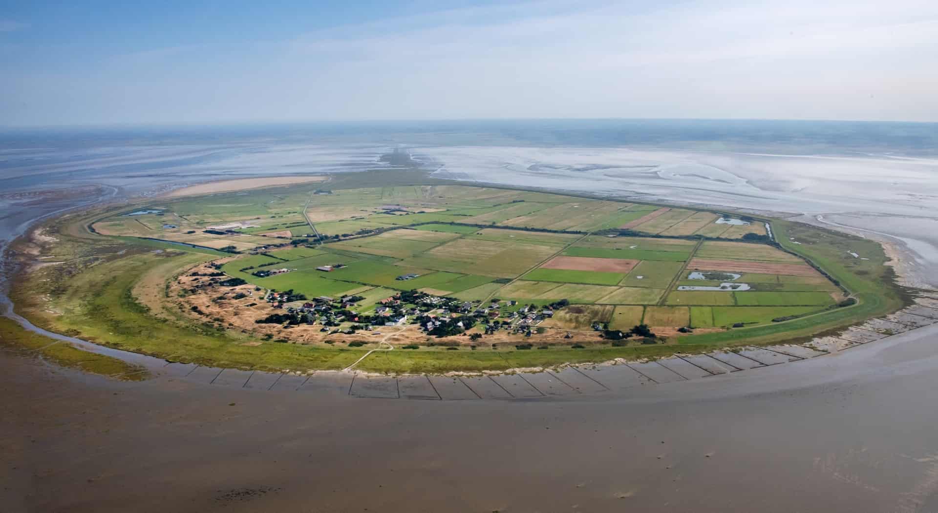 Ny Dark Sky Park i Nationalpark Vadehavet: Mandø anerkendt for sin ...