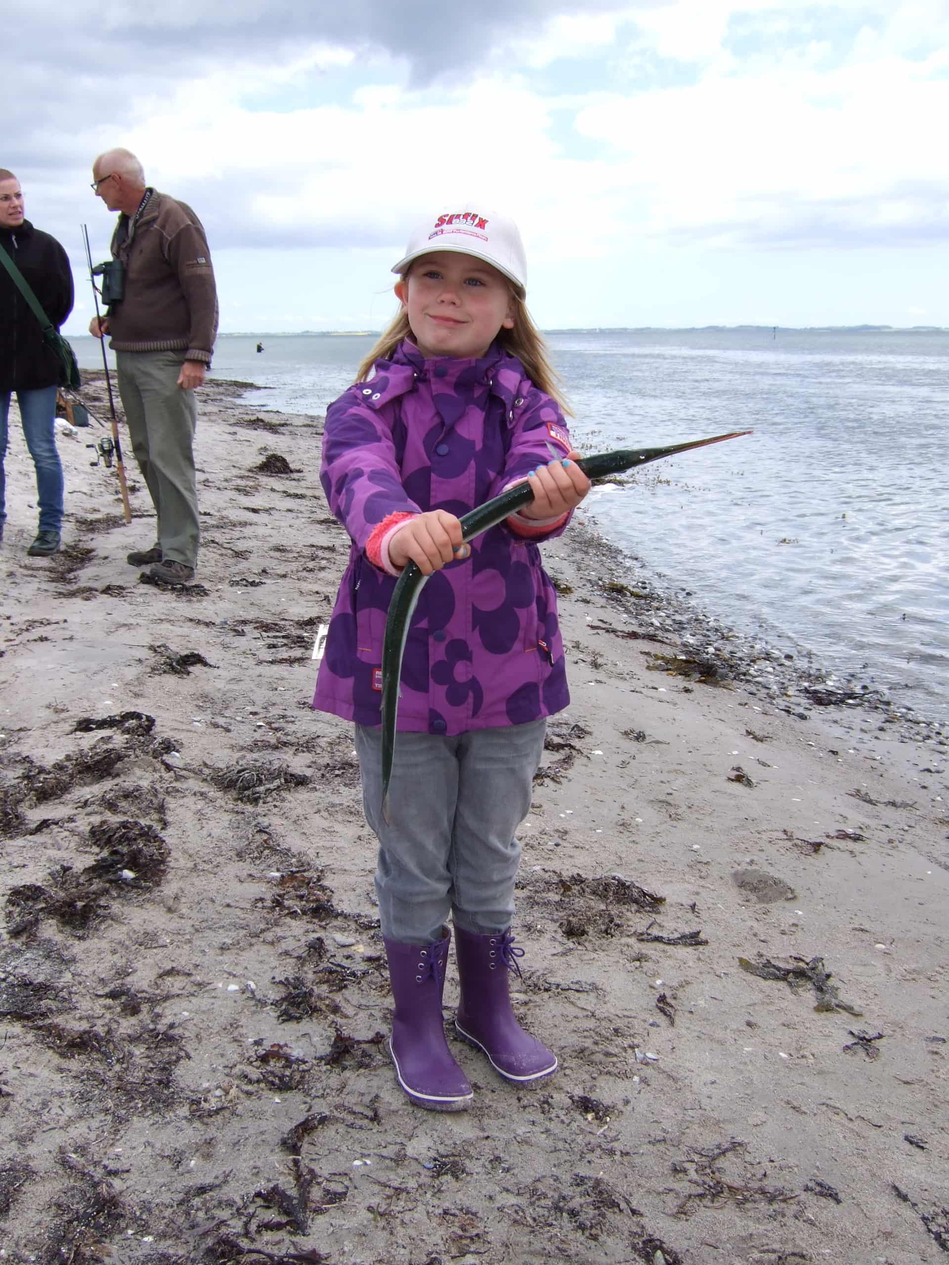Fiskefestival for første gang på Sydfyn | faa.dk