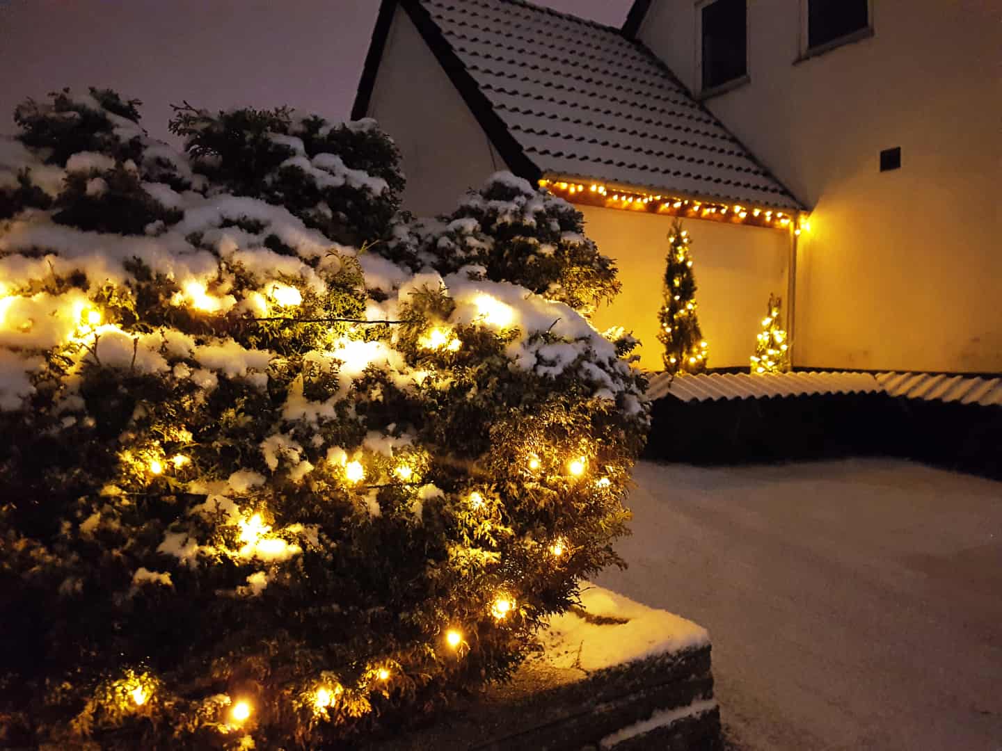 Eksperten: Luciadag - en festdag for lyset | fyens.dk
