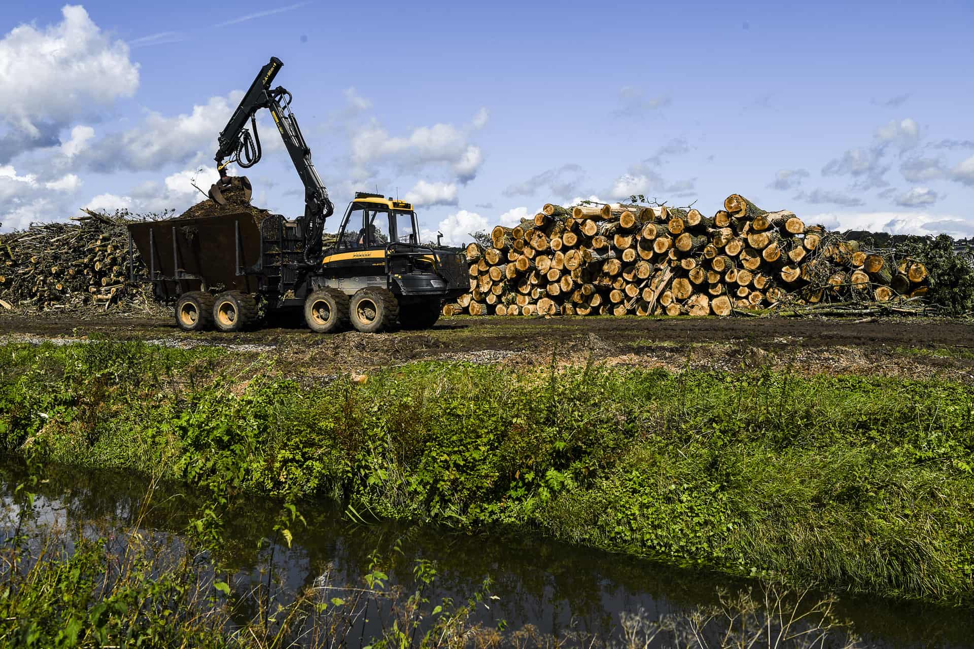 Poppelalleen giver varme til vinter | ugeavisen.dk
