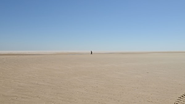 Sandorm og havørnegylp: En rejse til Koresands vilde natur | ugeavisen.dk