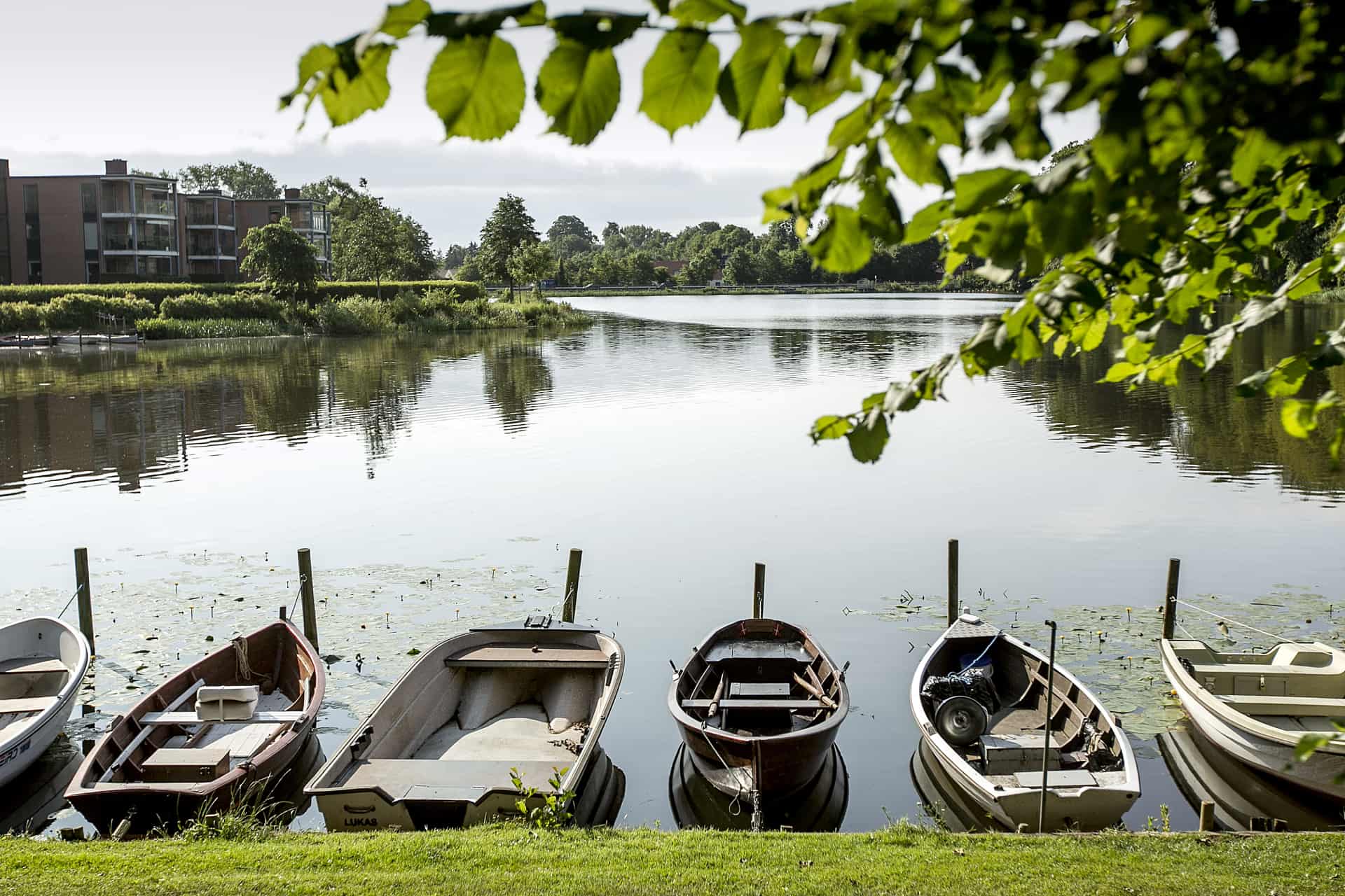 Lys idé gav ældre én på opleveren | ugeavisen.dk