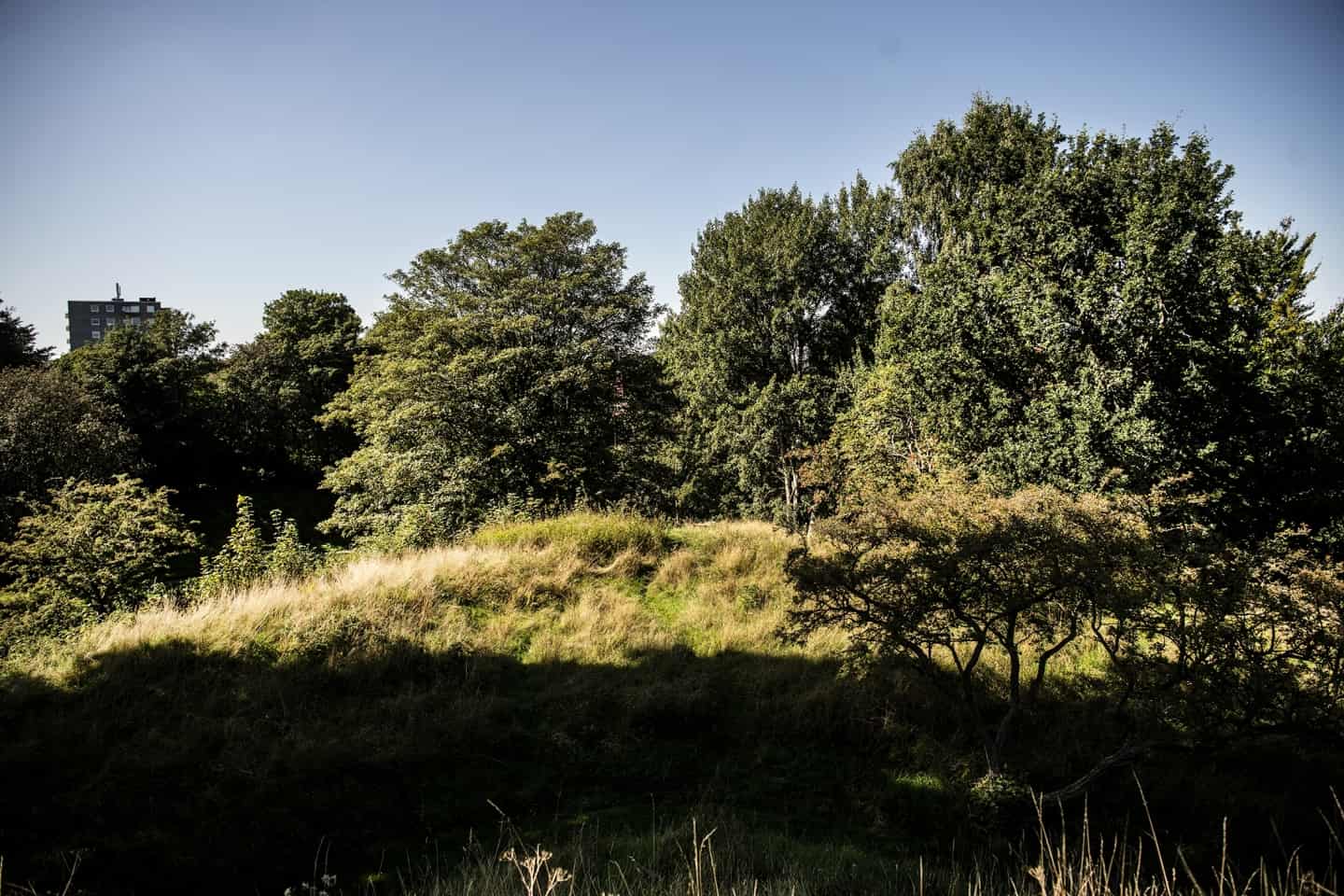 Flertal giver voldmester lov til forsøg med bål på volden: - Det er det ...