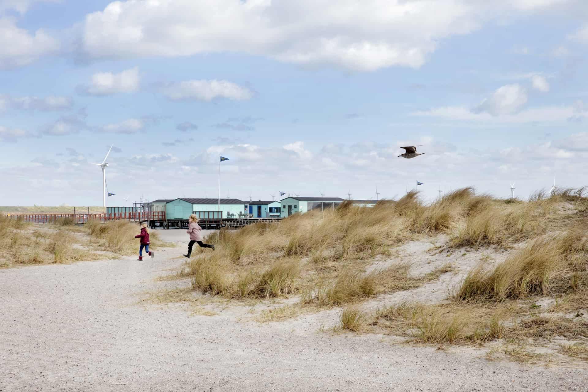 Efteråret bugner med spændende aktiviteter | amagerliv.dk