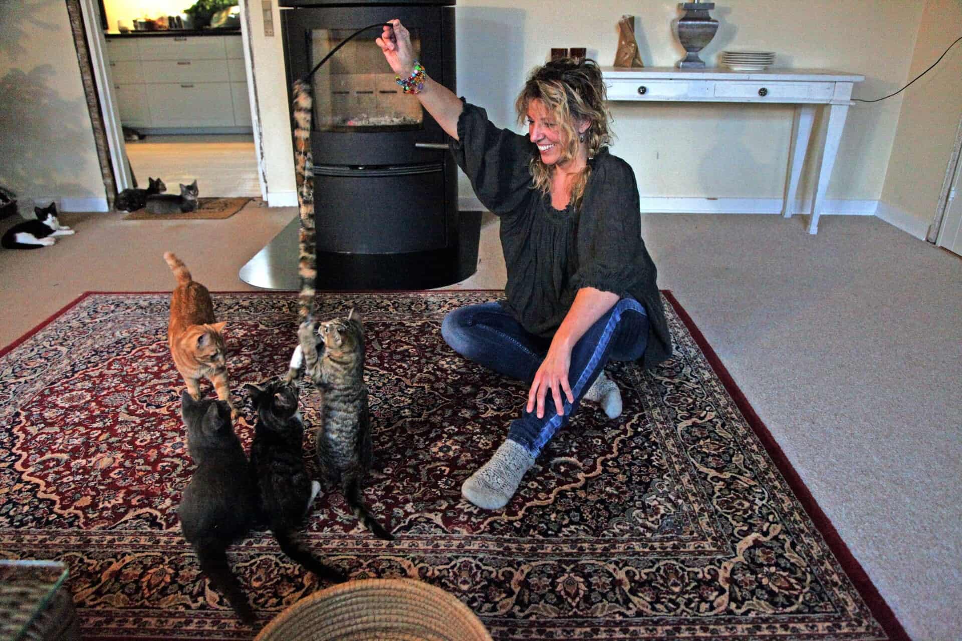 Hjertet på rette sted: Sygeplejersken der hjælper mennesker og katte ...