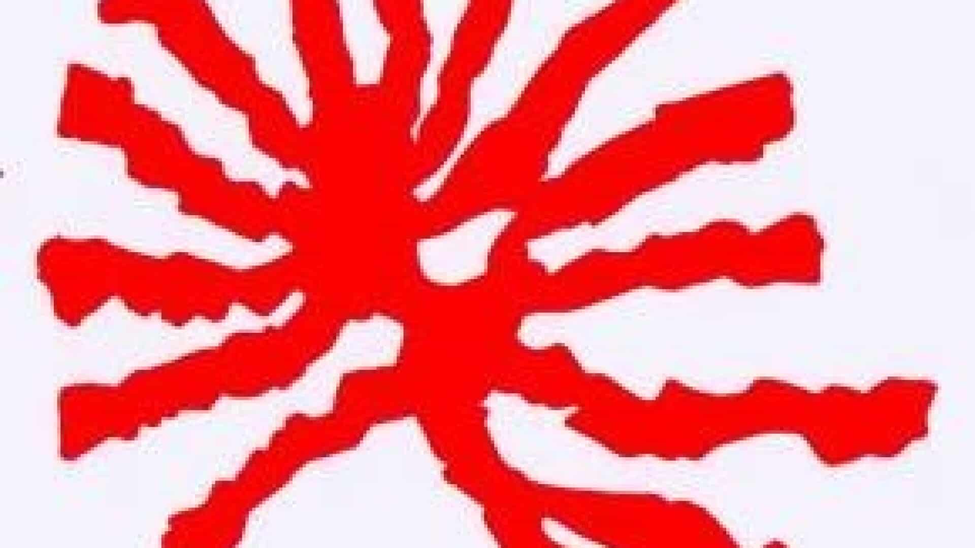 Kunstens Græsrødder hos Anna Bjerre | ugeavisen.dk