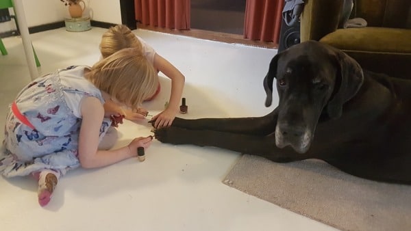 Den store danske hund hedder både Preben og Dirch Passer | ugeavisen.dk