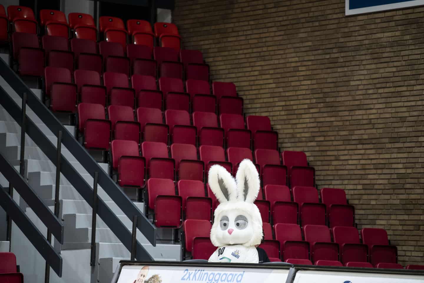 Rabbits-kamp med racistisk efterspil | fyens.dk