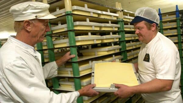 Tistrup-ost er på købmandshylderne | jv.dk