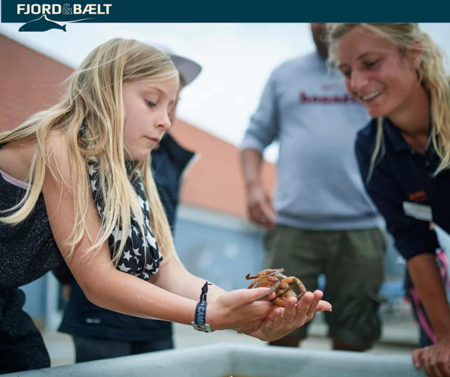 Klap en krabbe med Fjord&Bælt | ugeavisen.dk