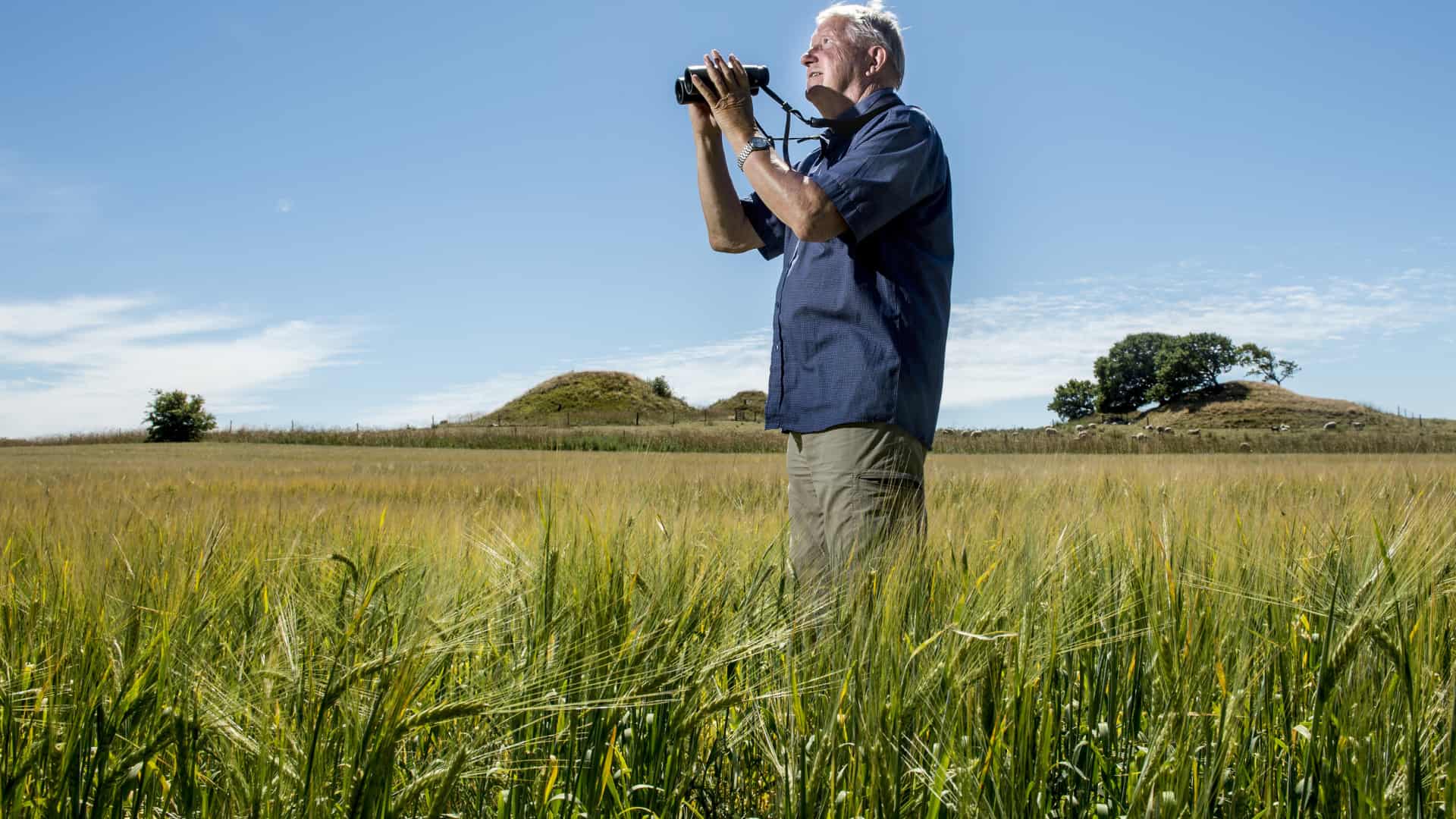 Fuglenes stemme bor i Sevel | ugeavisen.dk